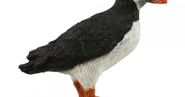 Collecta-COLLECTA ΠΑΦΙΝ (ΦΡΑΤΕΡΚΟΥΛΑ) 88895(88895) | lampridis.gr
