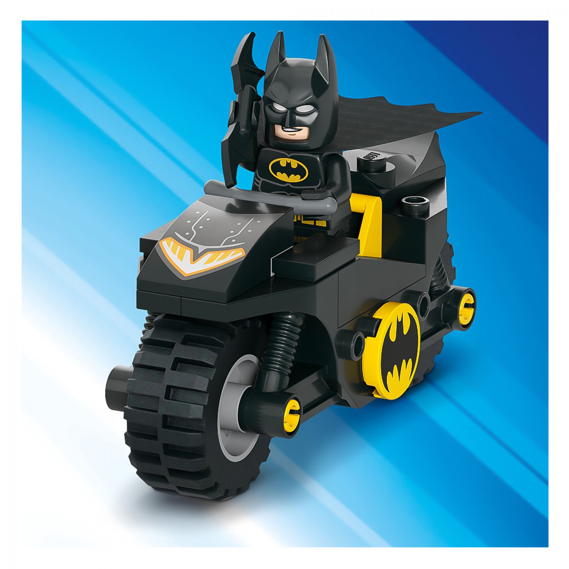 Lego-LEGO BATMAN VERSUS HARLEY QUINN 76220(76220) | lampridis.gr