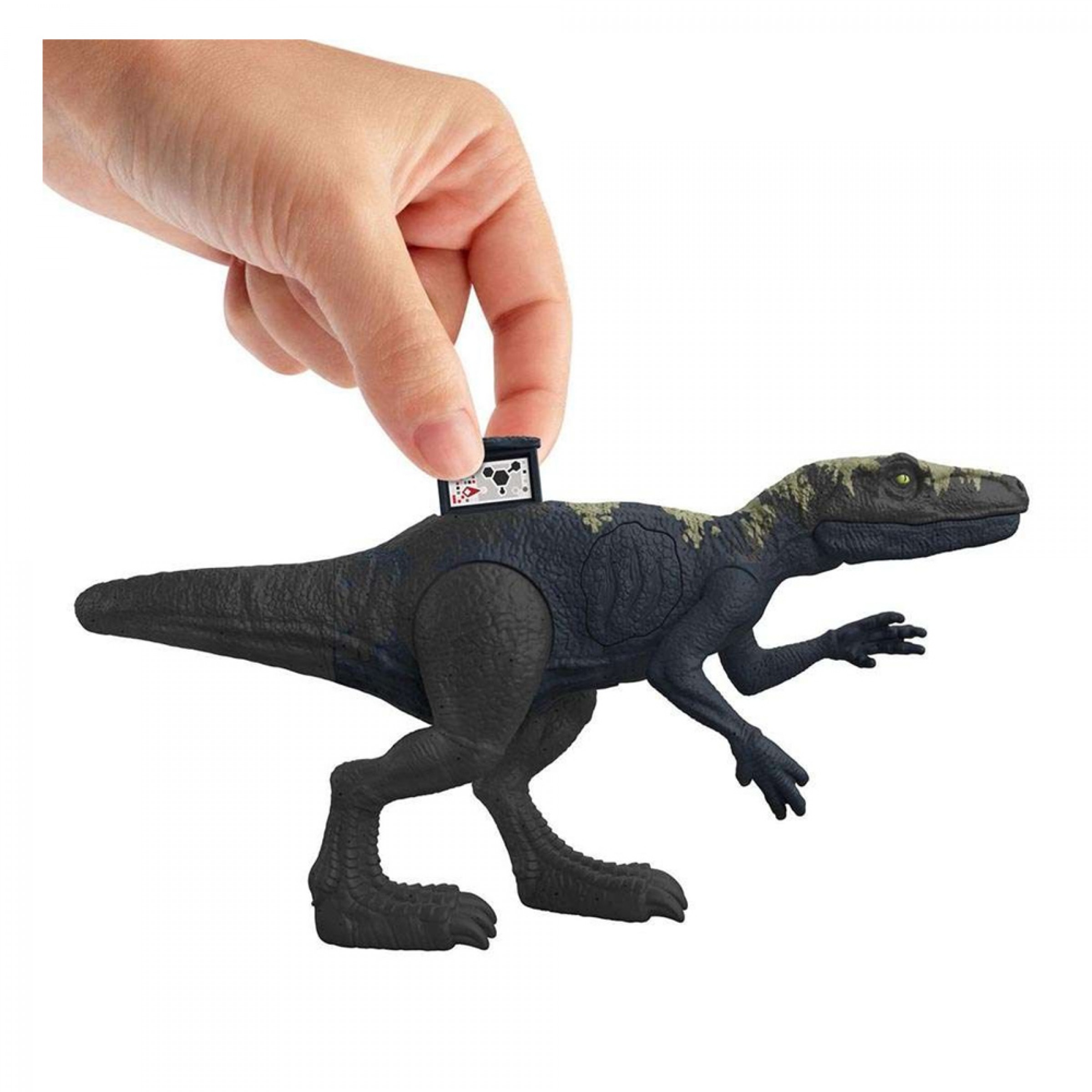 Mattel-MATTEL JURASSIC WORLD - EPIC ATTACK HERRERASAURUS HTP66(HTP66) | lampridis.gr