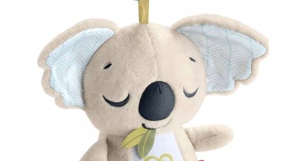 Mattel-MATTEL FISHER PRICE ON THE GO KOALA SOOTHER JBD65(JBD65 ...