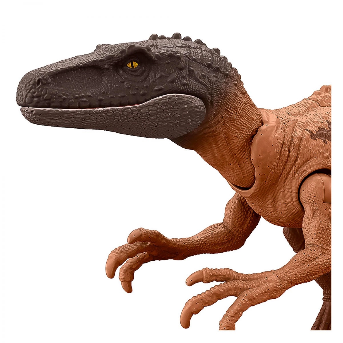 Mattel-MATTEL JURASSIC WORD HERRERASAURUS HLN63/HLN64(HLN63/HLN64 ...
